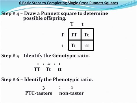 Punnett Square Ptc