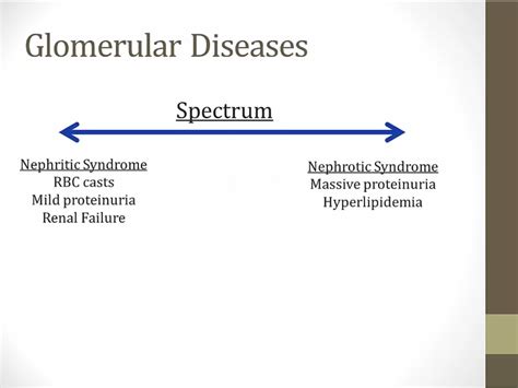 Glomerulonephritis Ultrasound ⏩solvedmatch The Clinical And Microscopic Presentation With The