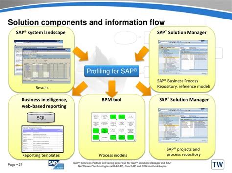Profiling For Sap Analysis And Redocumentation Of Sap Erp