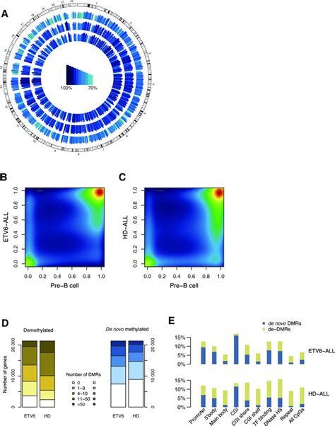 Overview And Statistics Of Whole Genome Bisulfite Sequencing Data Of Download Scientific