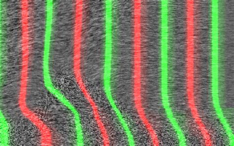 figure 4 from hardware accelerated lagrangian eulerian texture