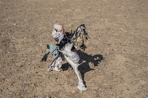 گالری ‌اُ لیلا مختاری