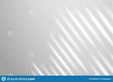 Shadow Overlay Effect On White Background Abstract Sunlight Background With Window Shadows