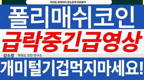 폴리매쉬 코인🚨 💥급락중 긴급영상💥개미털기 겁먹지 마세요🔥물리신분들시청🔥 폴리매쉬전망 폴리매쉬목표가 폴리매쉬호재