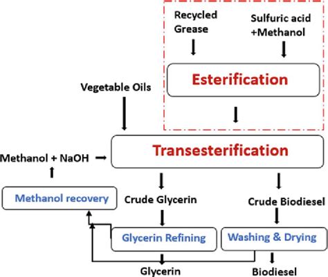 2 In Situ Esterification And Transesterification Reaction Via Acidbase