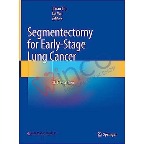 Segmentectomy For Early Stage Lung Cancer 3d Navigation 1st Ed 2023 Edition Winco Medical