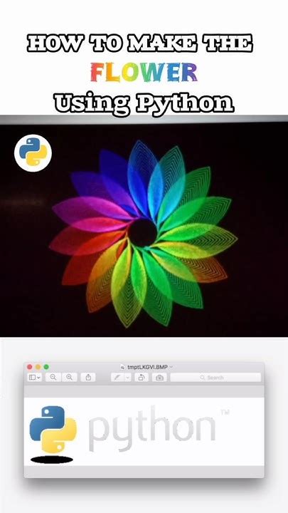 How To Make The Flower Using Python 🌸🌈 Python Coding Programming Technology Flower Learn