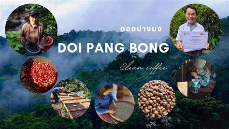 One Off Coffee แม่ฮ่องสอน One Off Coffee แม่ฮ่องสอน