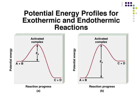 Understanding The Energy Profile Diagram For Exothermic Reactions