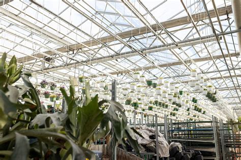 Organic Nutes Resources