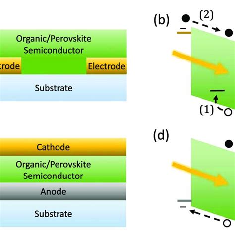 The Basic Architectures Of Organic And Perovskite Narrowband Download Scientific Diagram