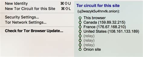 Whats A ONION Domain Name And How Do I Use It