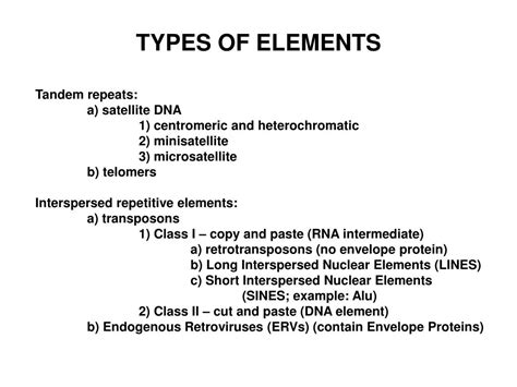 Ppt Genomic Repetitive Elements Human Focus Powerpoint Presentation