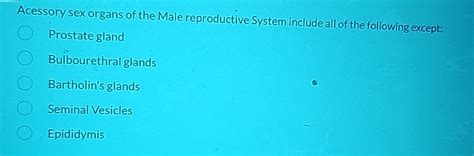 Solved Acessory Sex Organs Of The Male Reproductive System