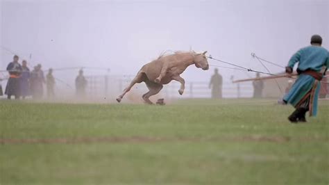 Great Siberian On Twitter Rt Qingzhao927 Өглөөний мэнд ээ☕️ Сайхан амарсан уу