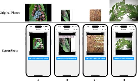 Figure 2 From High Performance Plant Pest And Disease Detection Based On Model Ensemble With