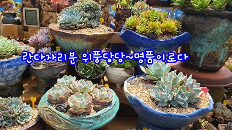 2363 란다자리분 몇가지 프리우먼 스타일 소개합니다2부 Youtube