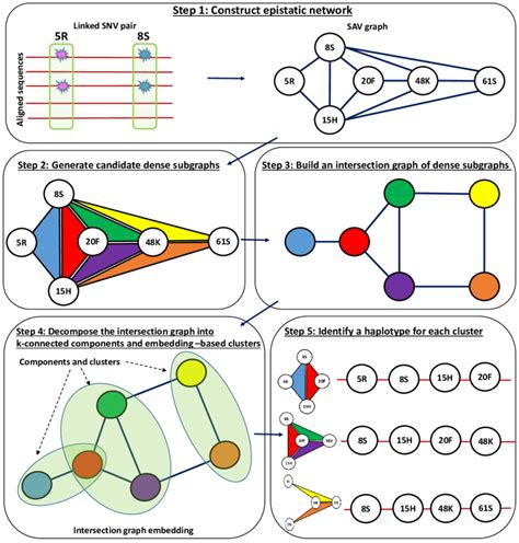 Helen Heralding Emerging Lineages In Epistatic Networks A Download Scientific Diagram