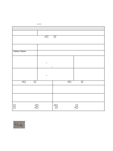 Revised Ibc Background Declaration Form Pdf Identity Document Government And Personhood