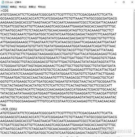 Bioedit软件做测序后的序列比对和序列的反向互补与翻译 知乎