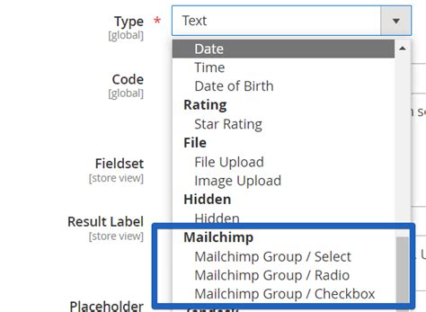 Magento 2 WebForms Pro 3 Mailchimp Integration MageMe
