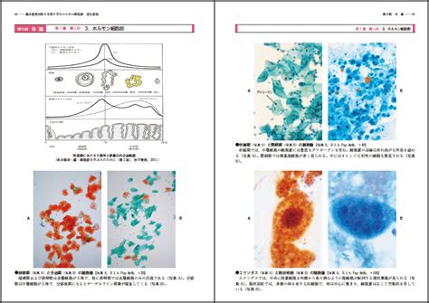 臨床検査技師を目指す学生のための細胞診 改訂新版