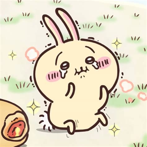 Usagi Bunny From Sanrio Sanrio Rabbit Characters Usagi Chiikawa