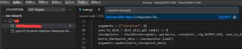 Vscode配置远程服务器python解释器教程visual Studio Code 远程服务器 设置解释器 Csdn博客