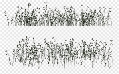 Tree Rendering Gray Flower Branch Monochrome Png PNGEgg