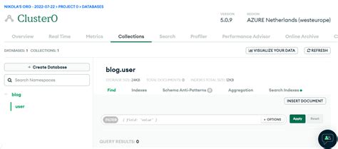 C Mongodb Guide Rubix Code