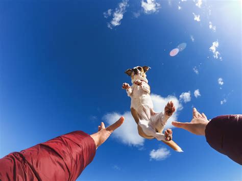 Skaffold Fast Repeatable Simple Local Kubernetes Development Rmlopsindia