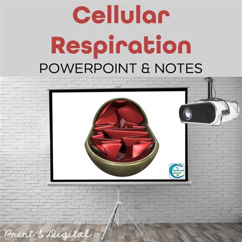 Free Printable Codon Chart With Practice Worksheet And Diagrams