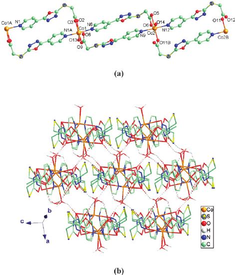 a a portion view of 1 showing the 1 d double strand array symmetry download scientific