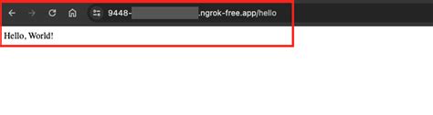 Exposing A Local Spring Boot App To The Web With Ngrok BootcampToProd