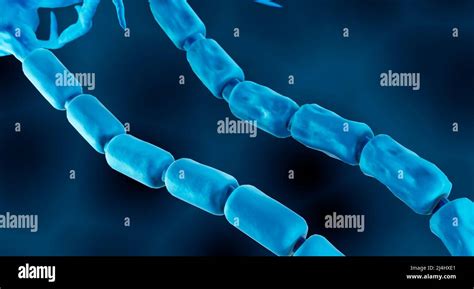 Demyelination In Multiple Sclerosis Illustration Stock Photo Alamy