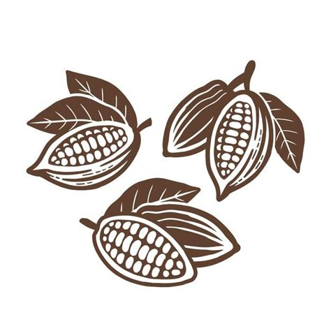Cocoa Beans Icon Set