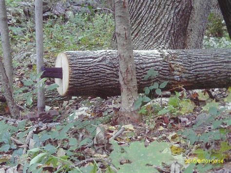 Uncle Macs Garden Shed HOW TO TURN A LOG INTO A RAISED BED