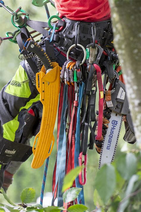Outstanding Tree Surgeon Courses UK Ground Up Training
