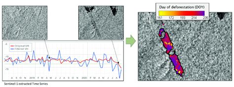 Time Series Based Detection Can Be Used To Track The Dynamics Of