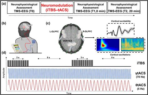 A Single Experimental Session Design Itbstacs Neuromodulation