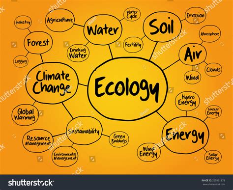 Ecology Mind Map Flowchart Concept Presentations 스톡 벡터 로열티 프리
