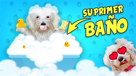 El Primer Ba O De Mi Cachorro Mimi Tiene Mucho Miedo Youtube