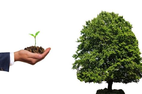 Unlocking The Power Of Azure For Saas Applications A Developers Guide