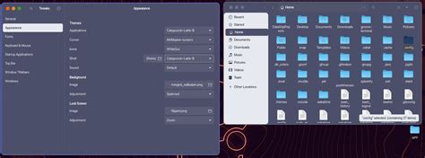 Latte Theme Inverted Issue 4 Fausto Korpsvart Catppuccin GTK
