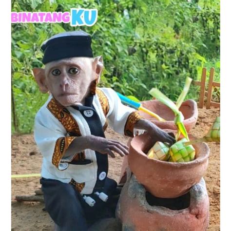 Jual Baju Monpai And Beruk Baca Diskripsi Ukuran Sebelum Memesan Shopee