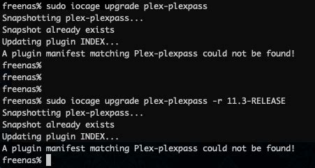 Why Can I Not Upgrade My Plex Jail Using Iocage Upgrade Command TrueNAS Community