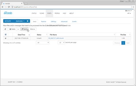 Insert A Sales Order Into Netsuite Based On Html Form Data