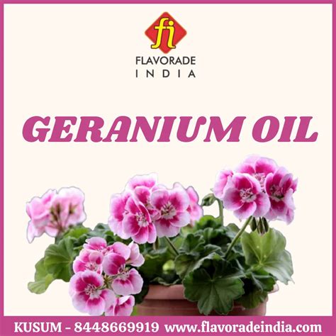 Geranium Oil At Best Price In New Delhi By Shakti Trading Co Id