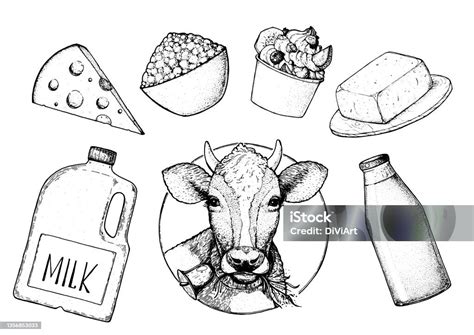 유제품은 손으로 그린 벡터 일러스트레이션을 생성합니다 디자인 라벨 치즈 코티지 치즈 요구르트 우유 버터 일러스트레이션 유기농 제품 건강한 식품 농장에 대한 스톡 벡터 아트