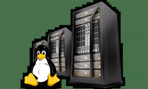 Get The Best Linux VPS Hosting In India Dserver Hosting